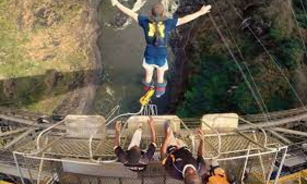 African Phoenix tours and Safaris | Victoriafalls Holiday Safari ...