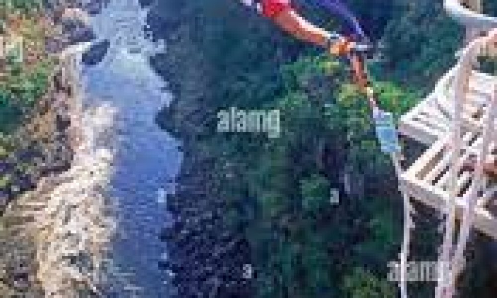 African Phoenix tours and Safaris | Victoriafalls Holiday Safari ...