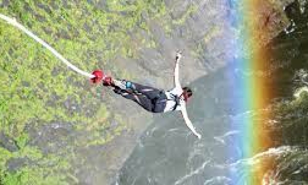 African Phoenix tours and Safaris | Victoriafalls Holiday Safari ...